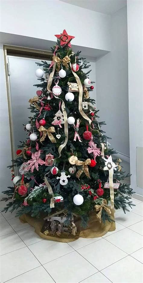 Ο ΣΤΟΛΙΣΜΟΣ ΤΟΥ ΧΡΙΣΤΟΥΓΕΝΝΙΑΤΙΚΟΥ ΔΕΝΤΡΟΥ ΣΤΙΣ ΔΟΜΕΣ ΑΣΤΕΓΩΝ ΤΟΥ ΚΟΔΗΠ ΟΛΟΚΛΗΡΩΘΗΚΕ