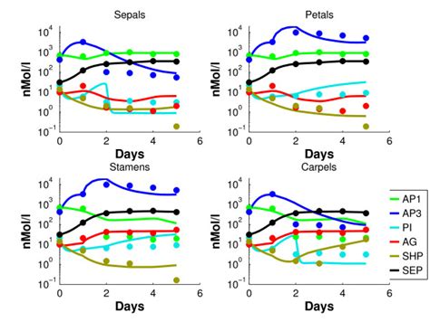 Simulated Dynamics Of The Decoupled Model 5 Solid Lines Of The Download Scientific Diagram
