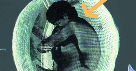 Tree Burial Pod Inhabitat Green Design Innovation Architecture Green Building