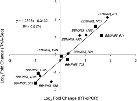 rt qpcr validation of the rna seq transcriptomic data chart shows
