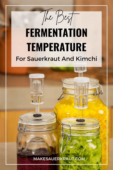 The Best Fermentation Temperature Sauerkraut Pickles Kimchi
