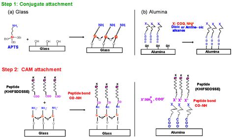Welcome To Nanostructure Material And Devices Laboratory