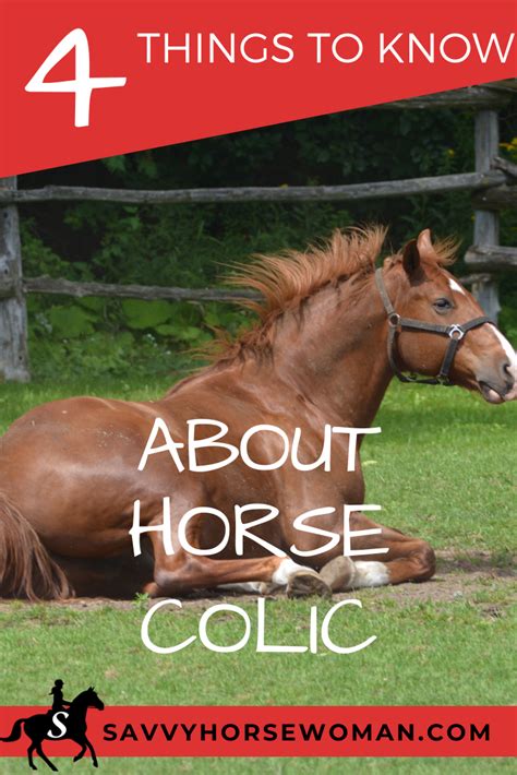 Horse Gas Colic Causes At Tyler Cobb Blog