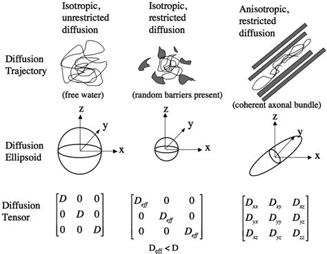 Diffusion Models And Metrics Practicum