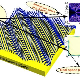 The Schematic Setup Of Our Model Consisting Of A SS State In D Square Download Scientific