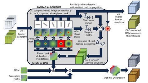Aberration Correction And Adaptive Optics Biophotonics Imaging Laboratory Uiuc