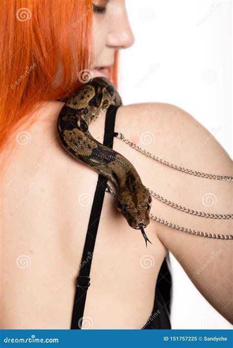 Redhead Woman Holding Snake Close Up Photo Girl With Pygmy Python On A