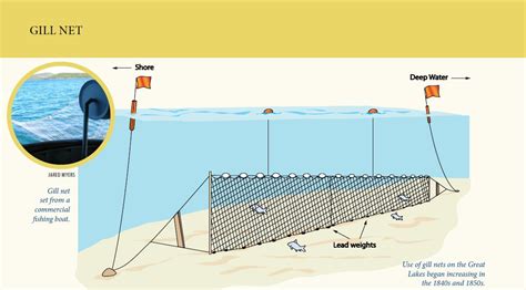 Boat Net Discounted Shop