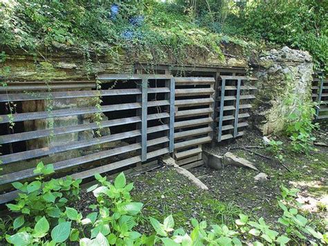 Snail Shell One Of Nations Most Biologically Important Cave