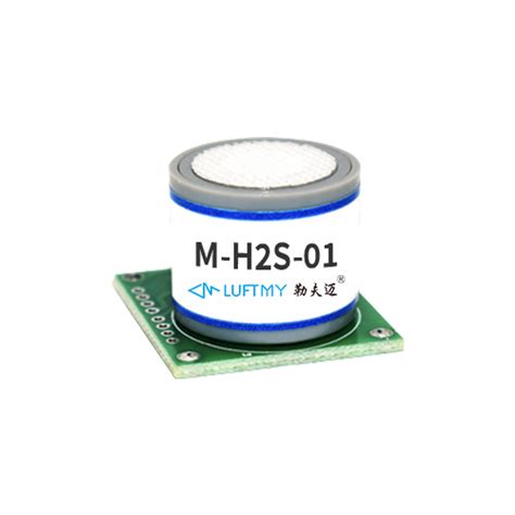 Custom H2s Hydrogen Sulphide Sensors Suppliers Manufacturers Factory