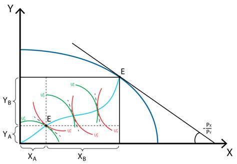 General Equilibrium Policonomics
