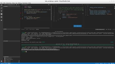 escape pytest in zsh terminal when debuging the tests · issue 4911 · microsoft vscode python