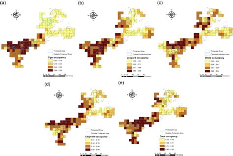Occupancy Patterns Of Tiger A Leopard B Dhole C Elephant D