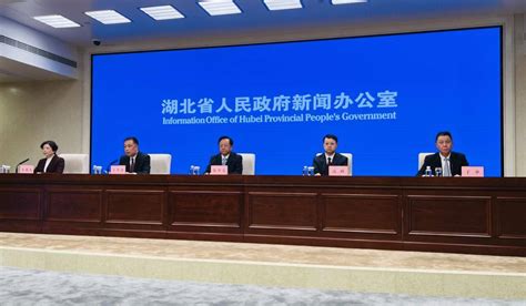 湖北：支持外资企业建设高水平重大研发机构 投资 服务 重点