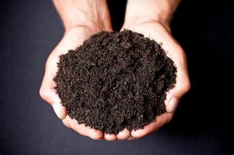 Soil Composition And 10 Methods For Identifying Soil Fertility Humic Acids Sodium Humate