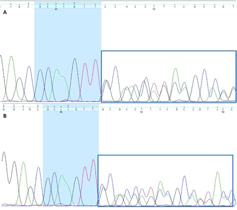 Chromatogram Of Sanger Sequencing Shaded Area Shows The 7 Bp Download Scientific Diagram