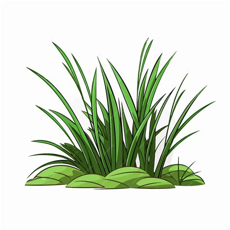 Premium Vector Grass Flat Vector Illustration Grass Cartoon Hand