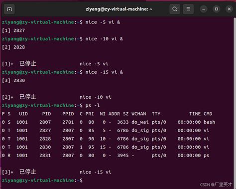 Linux实验报告9 进程管理linux进程管理实验报告 Csdn博客 Linux实验报告9 进程管理linux进程管理实验报告 Csdn博客