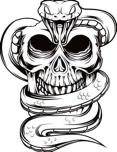 Three Skulls Tattoo Royalty Free Vector Image Vectorstock