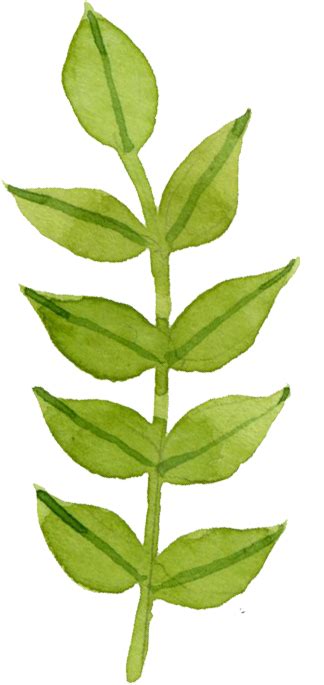 Transition Semantic Ui