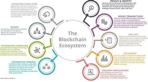What Is A Blockchain Ecosystem