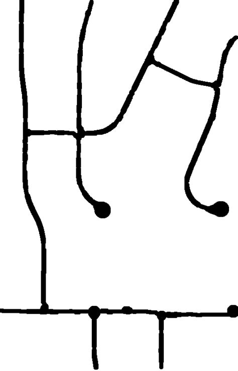 Intermediate Steps Of The Curvilinear Structure Reconstruction For A Download Scientific