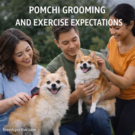 Mixed Breed Profiles Archives Breedspective