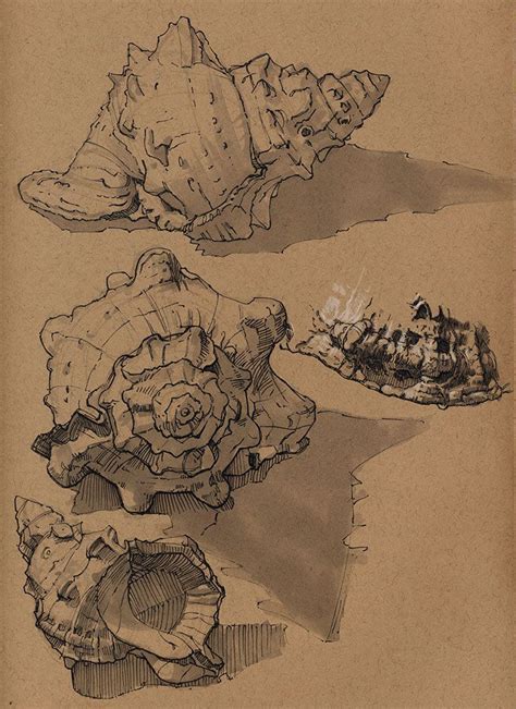 International Gcse Art Sketchbook Examples Artofit