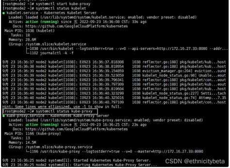 linux系统k8s集群架构及常用操作命令之k8s集群部署教程 systemctl start kube rvice csdn博客