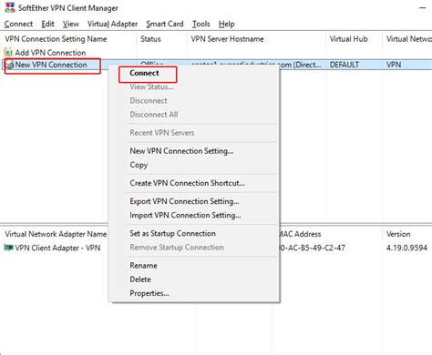 Run A Vpn In A Docker Container Using Softether Ionos
