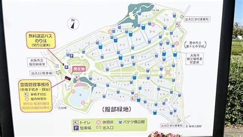 服部霊園で草抜き草むしりを依頼お墓参り代行業者 墓地の管理先情報サイト