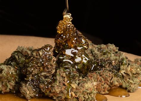 NEW HIGH POTENCY INFUSED PRE ROLLS THERAPLANT