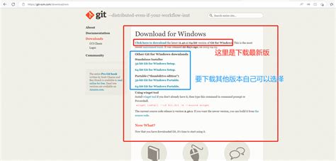 git 安装图文教程 git bit 安装 csdn博客