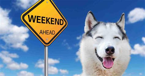 25 Weekend Memes That Will Make You Forget About Monday