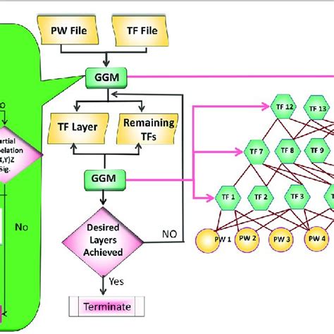 the flowchart illustrating the procedure of bottom up ggm algorithm download scientific diagram