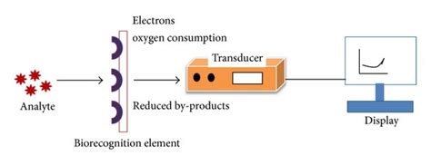 Biosensor Principle Components Types And Their Applications