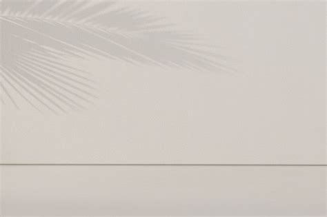 텍스처 열대 잎 그림자 제품 프리젠 테이션 및 개체 표시를위한 최소한의 파스텔 베이지 여름 추상 배경빈 방 벽 3d 렌더링 0