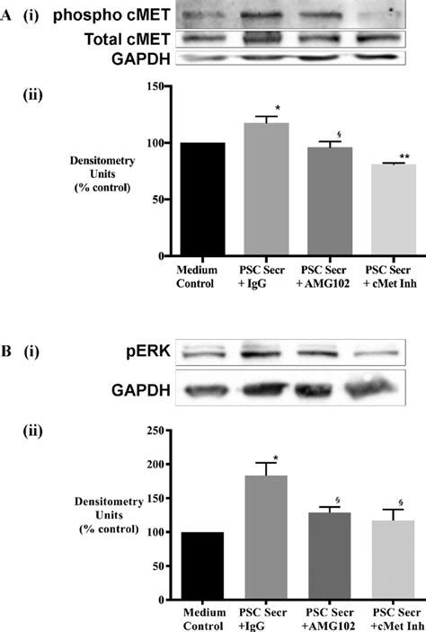 Effect Of Treatments On Cancer Cell Signalling A Cancer Cell Download Scientific Diagram