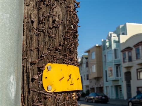 Premium Photo Close Up Of Yellow Representation On Tree Trunk
