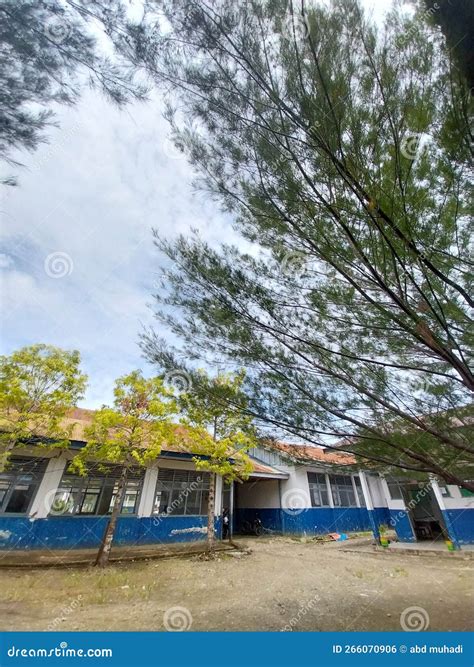 Tree In The School Very Green For Students Editorial Photo Image Of