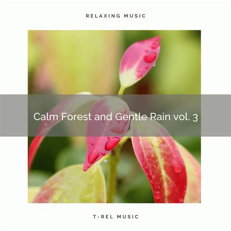 And The Best Rain Never Stops Pouring For Advanced Meditation Calming