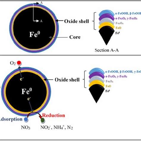 A Schematic Diagram Of The Core Shell Structure Of Nzvi B Download Scientific Diagram