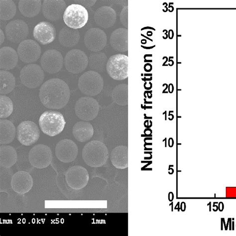 A Sem Images And B Size Distribution Of Porous Pla Microsphere Download Scientific Diagram