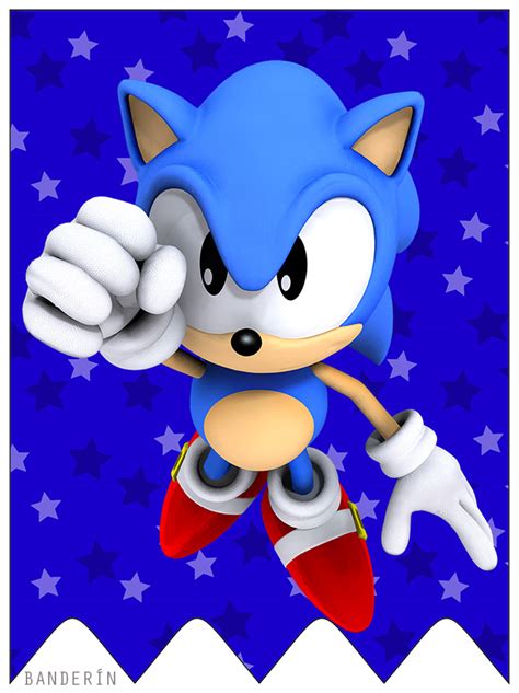 Sonic Banner Todo Peques