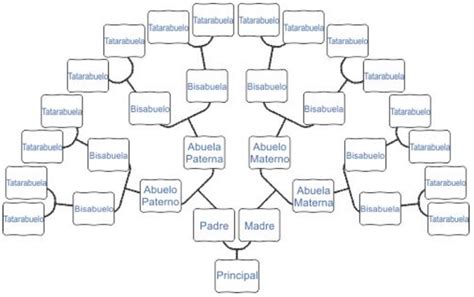 Ejemplo De Rbol Geneal Gico