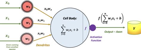 用于人类行为检测的不同卷积神经网络 Cnn 架构的比较方法neural Computing And Applications X Mol