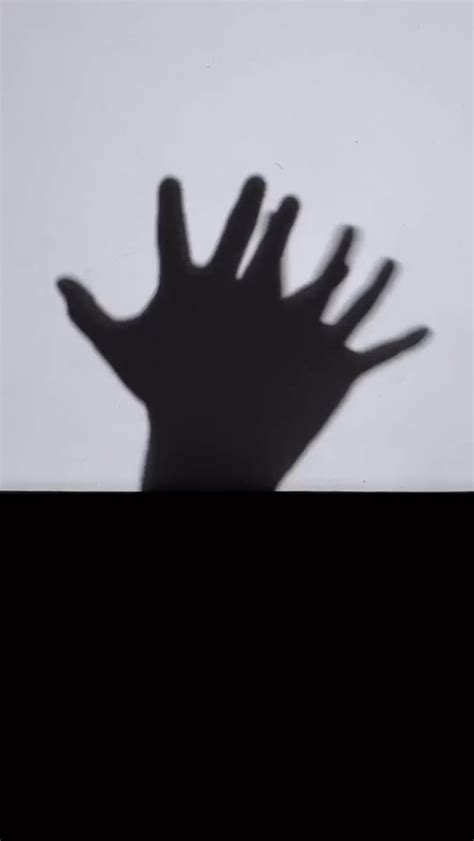This Guys Shadow Dancing Skills Using His Hands Rinterestingvideoclips