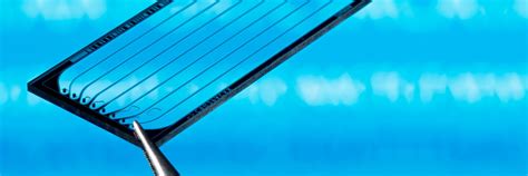 Next Generation Sequencing Fraunhofer IGB