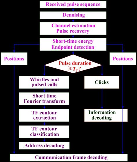The Process Of Decoding Of Communication Download Scientific Diagram