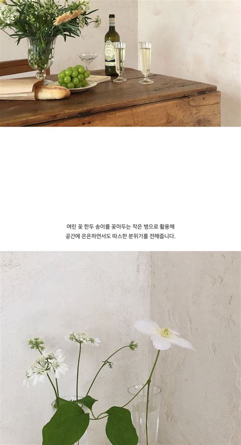 와인·양주·칵테일잔 프렌치 샴페인잔 오늘의집 쇼핑